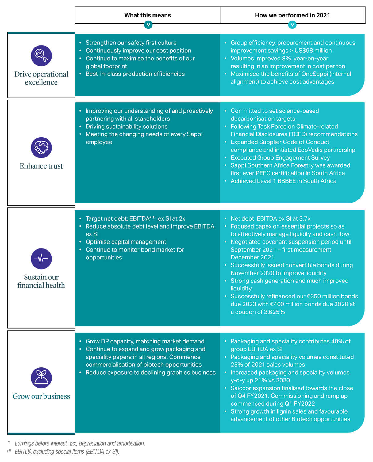2021-AIR-Strategy-and-performance.jpg | Sappi Global