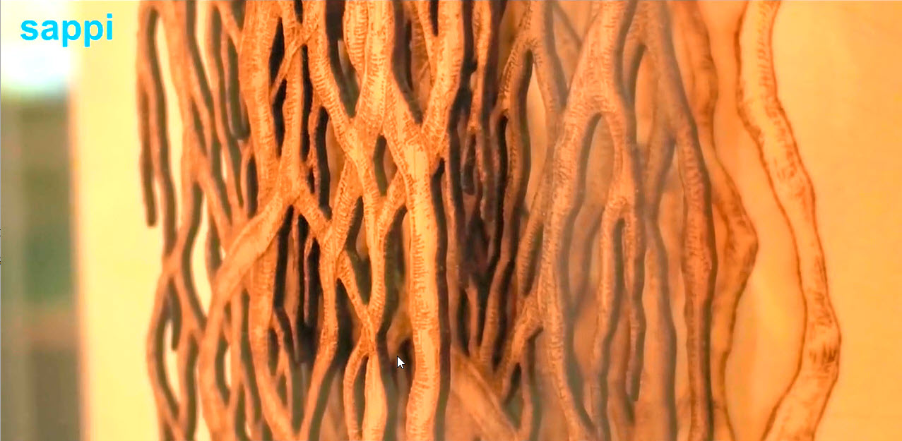 Sappi 2018 Calendar - Cover Feature | Sappi Global