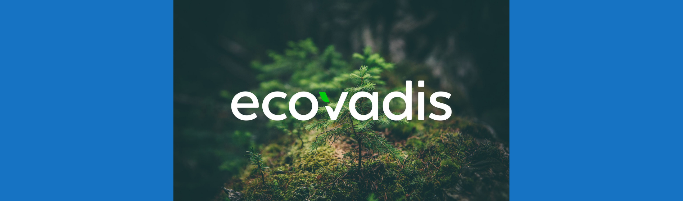 Ecovadis_story.png | Sappi Global